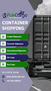 Why Choosing the Best Cargo Company is Vital for Your Business - A1pakcargo